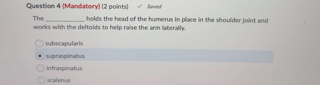 Solved Question 4 (Mandatory) (2 ﻿points) ﻿SavedThe | Chegg.com