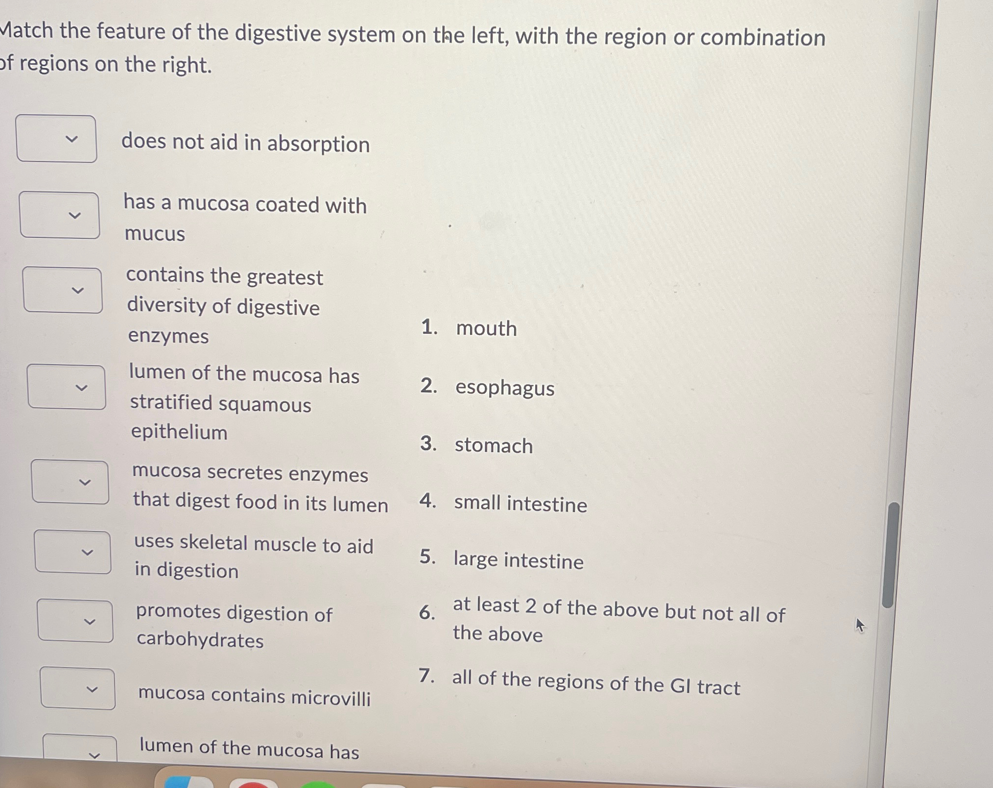 Solved Match the feature of the digestive system on the | Chegg.com