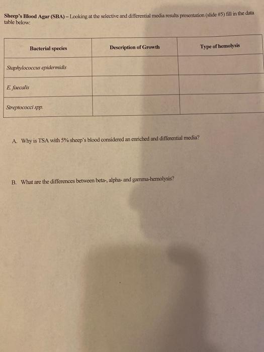 Phenylethyl Alcohol Agar (PEA)-Looking at the results | Chegg.com