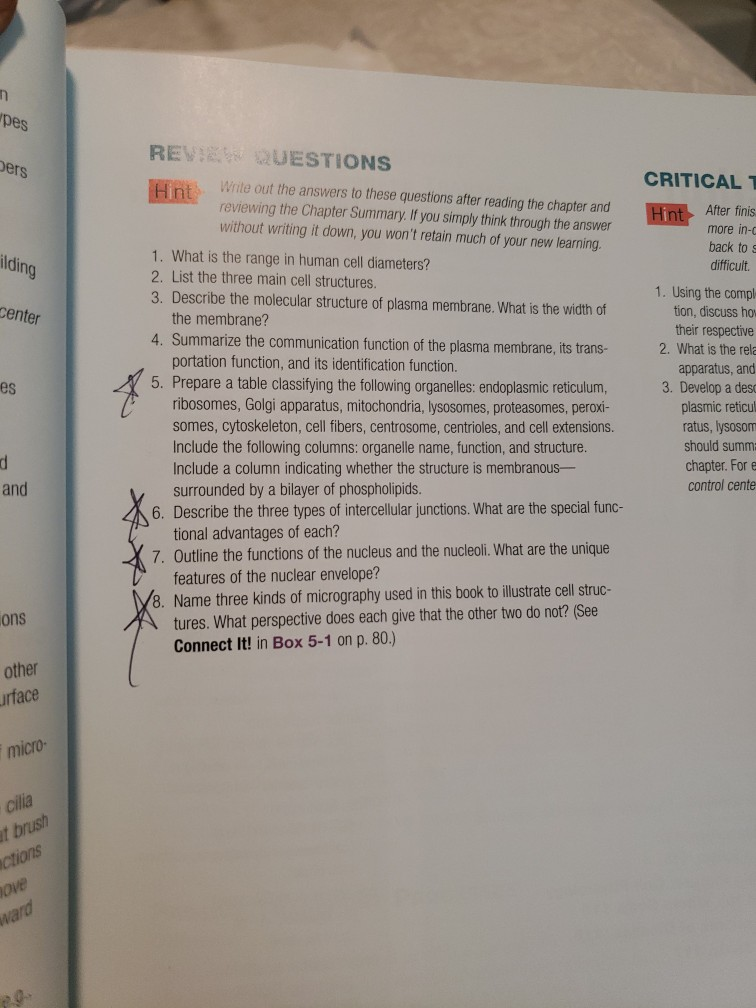 Solved n pes bers CRITICAL 1 Hint After finis more in- back | Chegg.com Solved n pes bers CRITICAL 1 Hint After finis more in- back | Chegg.com