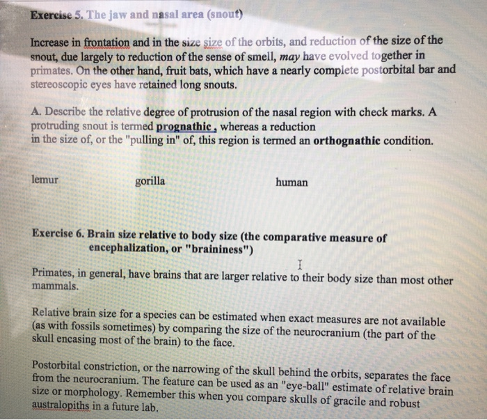 Solved The relative protrusion of the mouth and nose region | Chegg.com