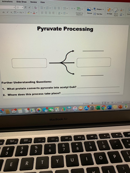 Solved Fri 4 sert Format Arrange Tools Slide Show Window | Chegg.com