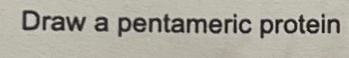 Solved Draw a pentameric protein | Chegg.com