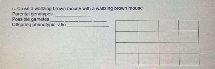 Solved C. Cross a waltzing brown mouse with a waltzing brown | Chegg.com