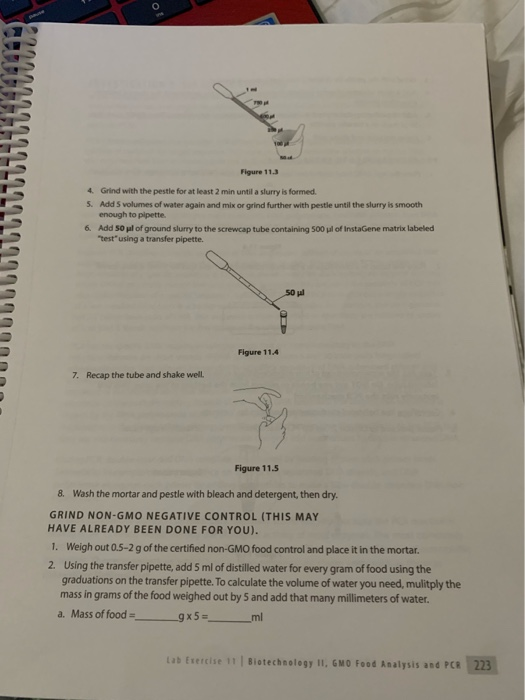 NAME: SECTION/INSTRUCTOR: DATE _J5 POINTS UUUUUUU | Chegg.com