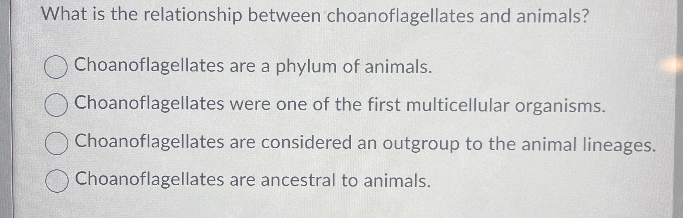 Solved What is the relationship between choanoflagellates | Chegg.com