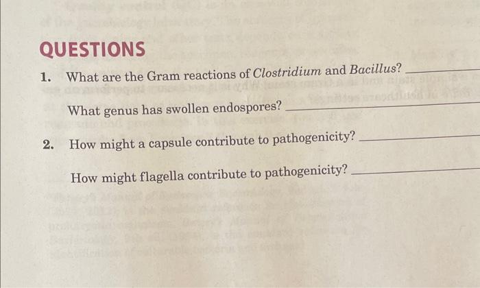 Solved QUESTIONS 1. What are the Gram reactions of | Chegg.com