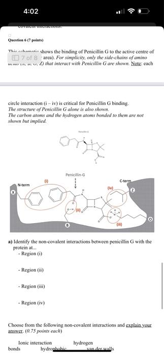 Solved A line angle drawing of a biological molecule is | Chegg.com