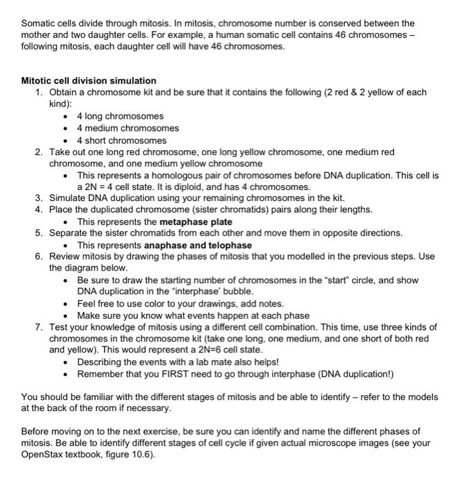 Solved Somatic cells divide through mitosis. In mitosis, | Chegg.com