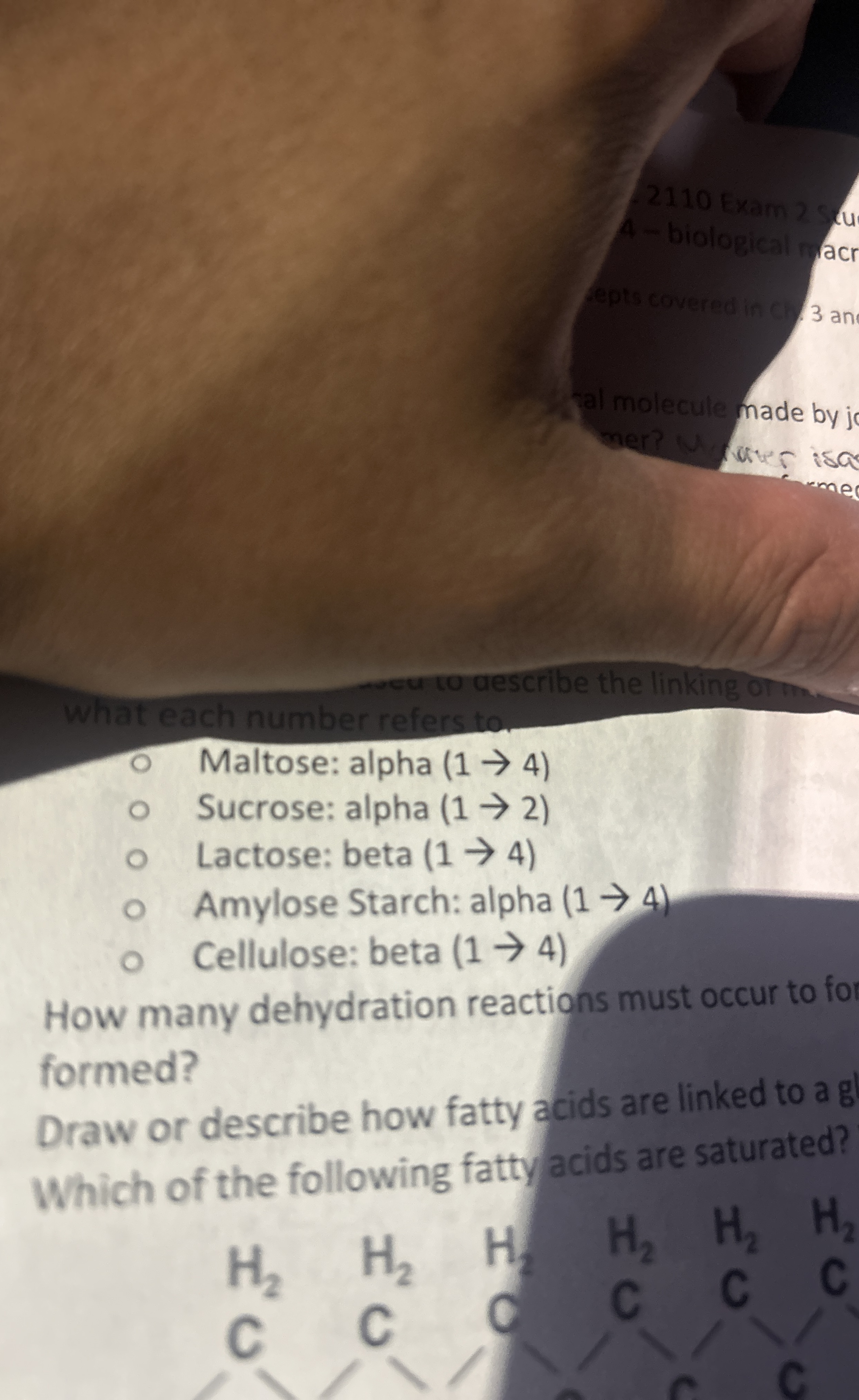 Solved Maltose: alpha (1→4)Sucrose: alpha (1→2)Lactose: beta | Chegg.com