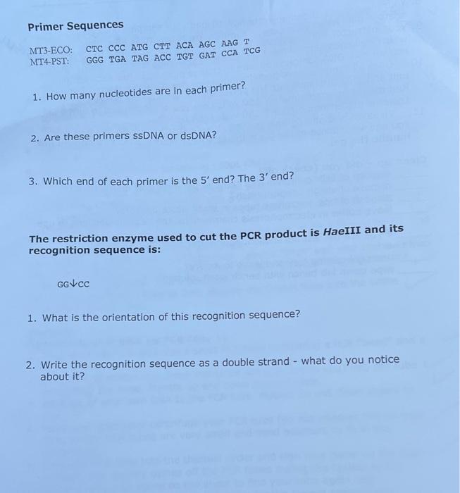 Solved Primer Sequences MT3-ECO: CTC CCC ATG CTT ACA AGC AAG | Chegg.com
