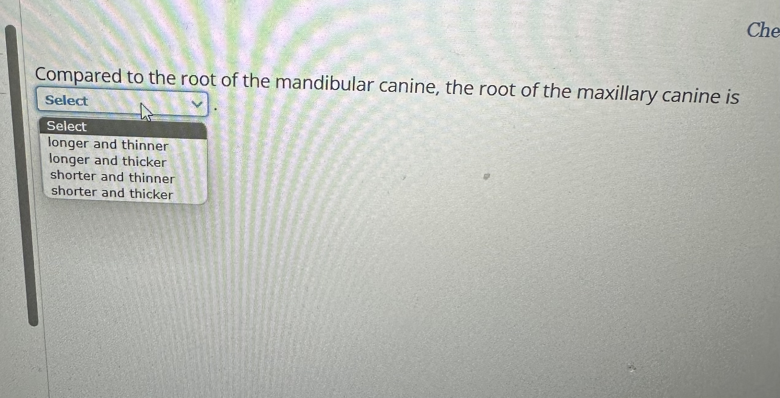 Solved Compared to the root of the mandibular canine, the | Chegg.com