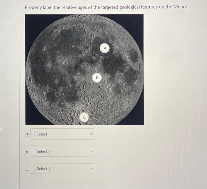 Solved Properly label the relative ages of the targeted | Chegg.com