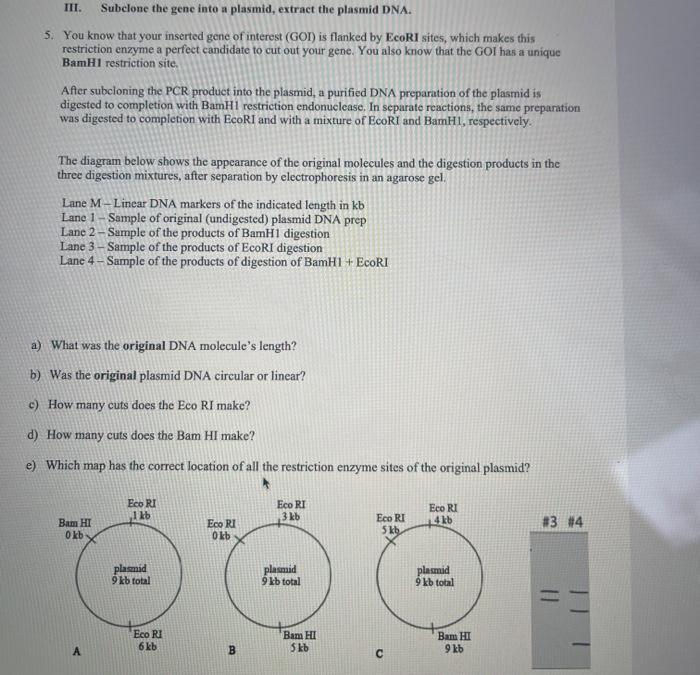 Solved 5. You know that your inserted gene of interest (GOI) | Chegg.com