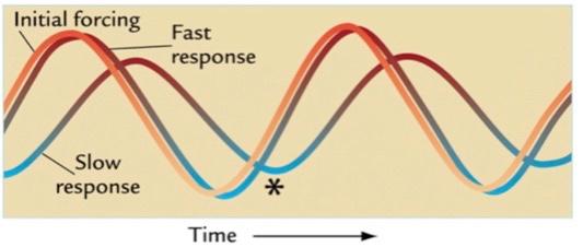 Solved Initial forcing Fast response x Slow response Time | Chegg.com