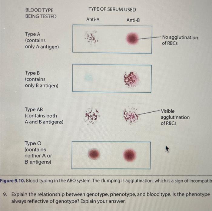 Solved igure 9 9. Explain the relationship between genotype, | Chegg.com