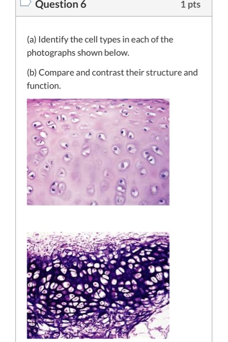 Solved (a) Identify the cell types in each of the | Chegg.com