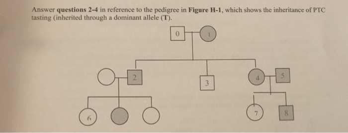 Solved (1 point) (comprehension) If person #0 had a shaded | Chegg.com