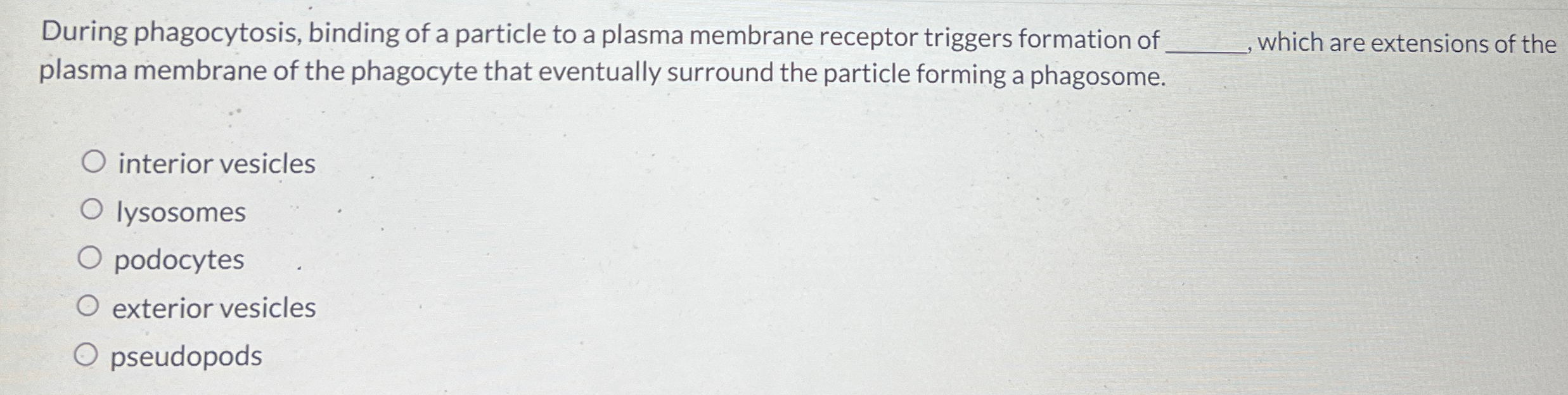 Solved During phagocytosis, binding of a particle to a | Chegg.com