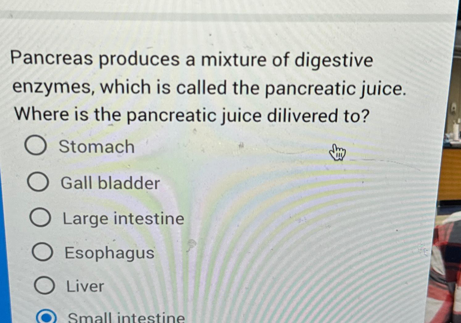 Solved Pancreas produces a mixture of digestive enzymes, | Chegg.com