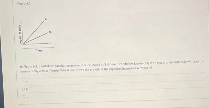 Solved Figure 6.11 K C. Time In Figure 6.1, a fastidious | Chegg.com
