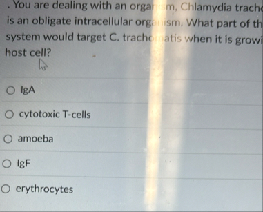 Solved You are dealing with an orga m, ﻿Chlamydia trach is | Chegg.com