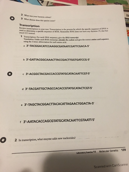 Solved DNA Profiling Review short tandem repeat (STR) | Chegg.com
