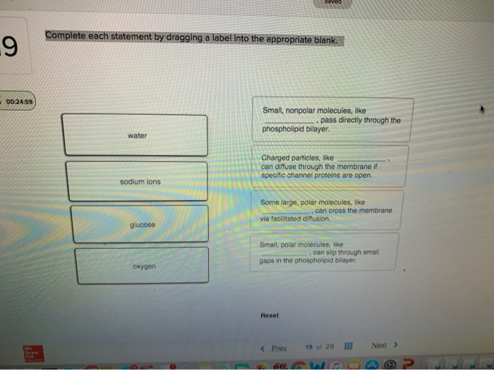 Solved Complete each statement by dragging a label into the | Chegg.com Solved Complete each statement by dragging a label into the | Chegg.com