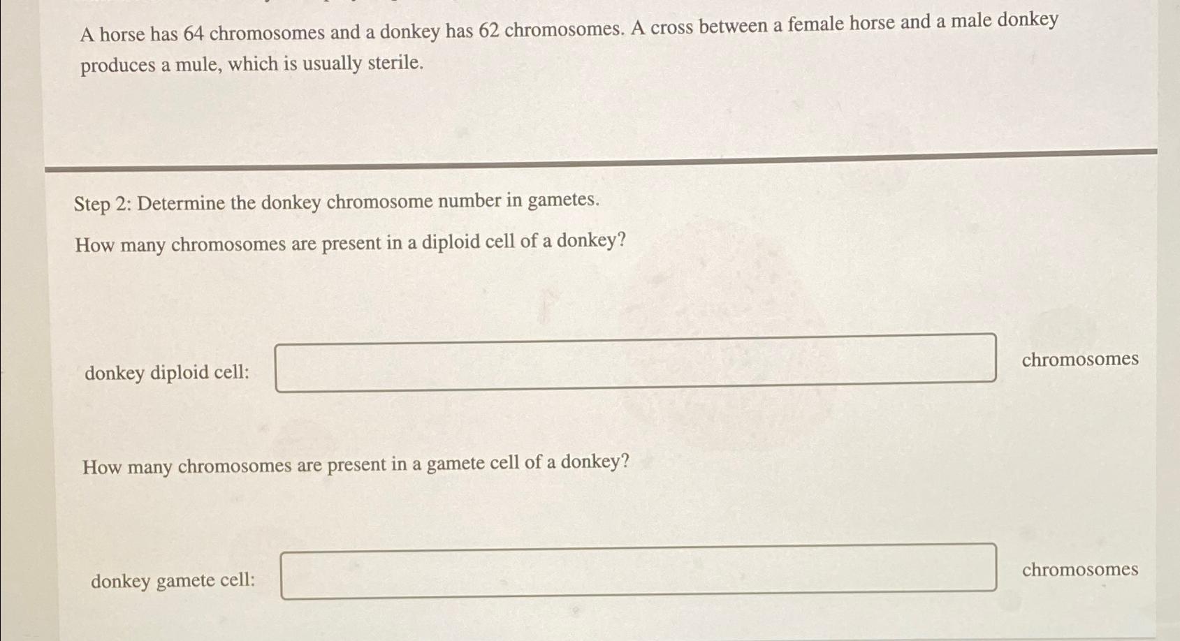 Solved A horse has 64 ﻿chromosomes and a donkey has 62 | Chegg.com