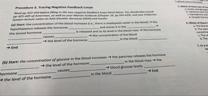 Solved . 5. W Procedure 3. Tracing Negative Feedback Loops | Chegg.com