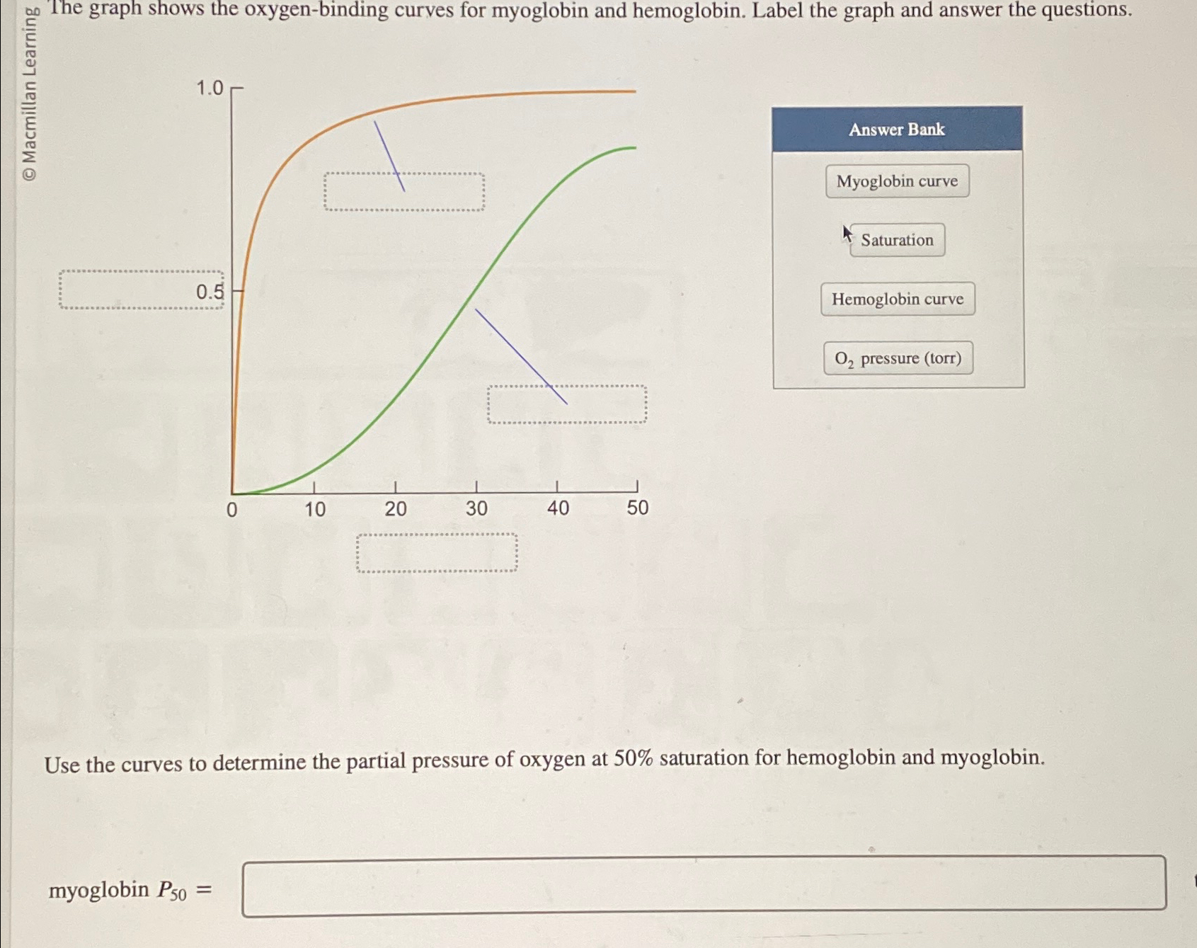 Solved The graph shows the oxygen-binding curves for | Chegg.com