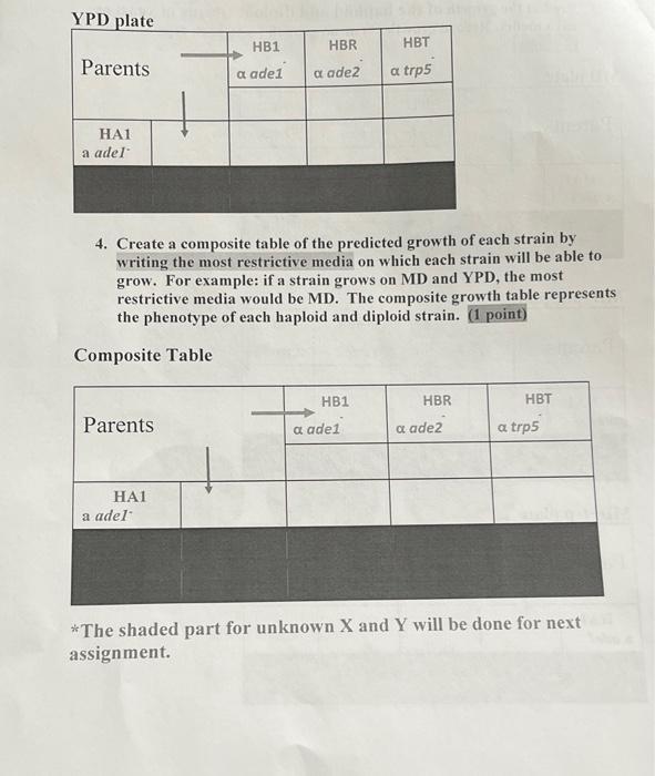 Solved Replica Plating was performed next day following the | Chegg.com