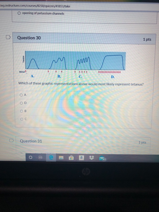 Solved ing.instructure.com/courses/8250/quizzes/41853/take | Chegg.com