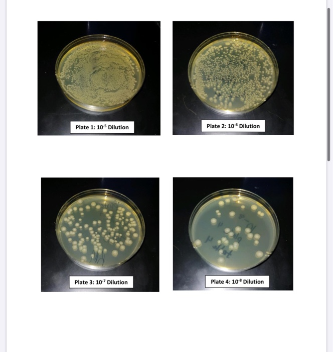Solved LAB 2: On page 2 you have been provided with photos | Chegg.com