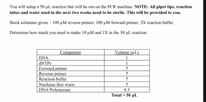 Solved You will setup a 50 uL reaction that will be run on | Chegg.com