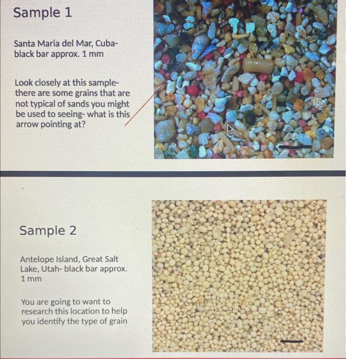 Solved Part 1. Examining and Characterizing Sand Samples | Chegg.com