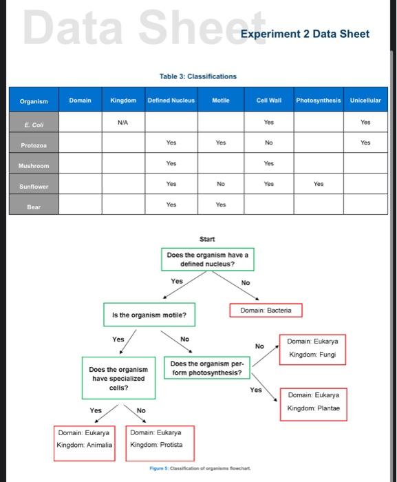 Solved EXPERIMENT 2: CLASSIFICATION OF ORGANISMS PROCEDURE | Chegg.com