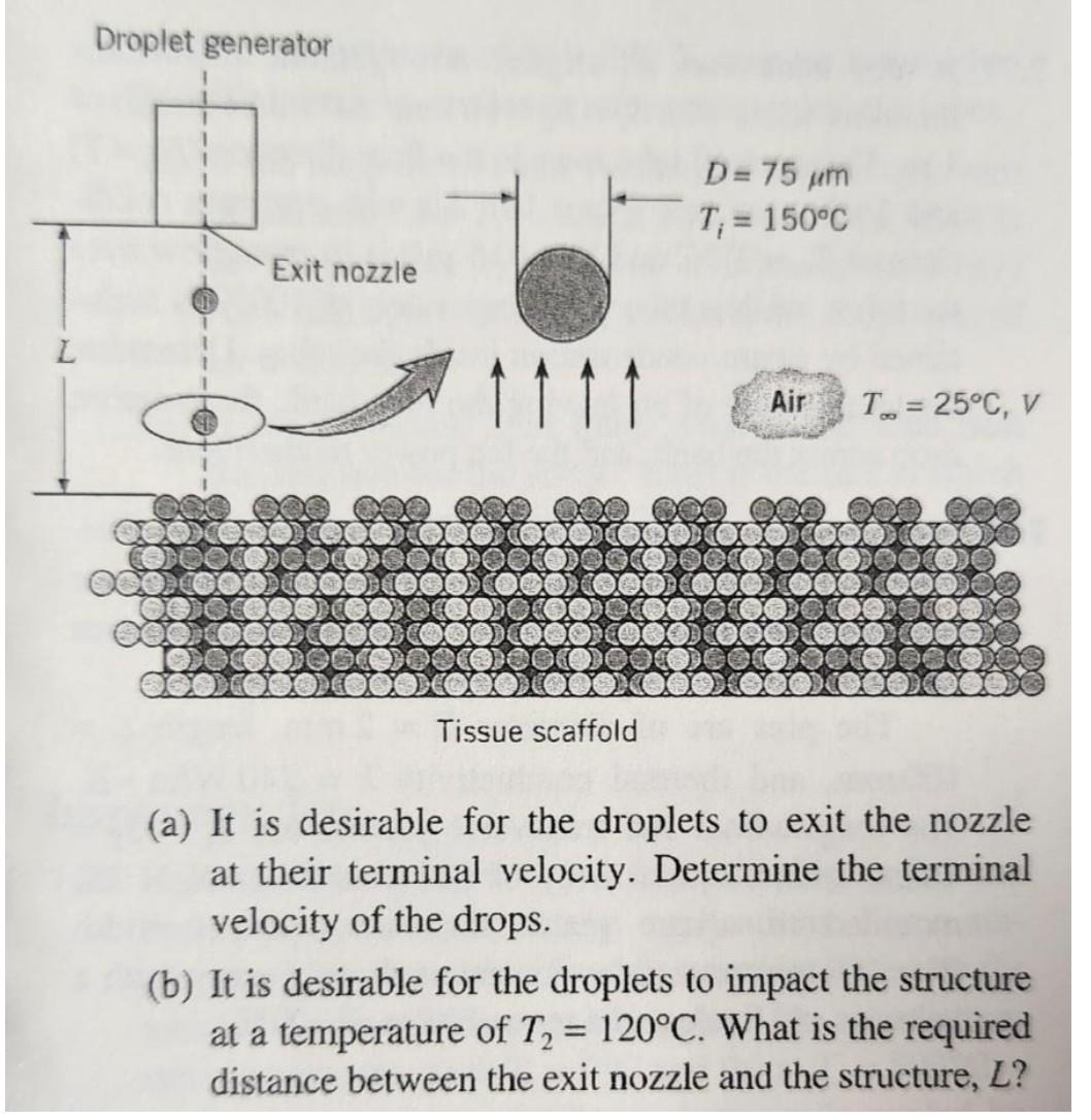 Solved Tissue engineering involves the development of | Chegg.com