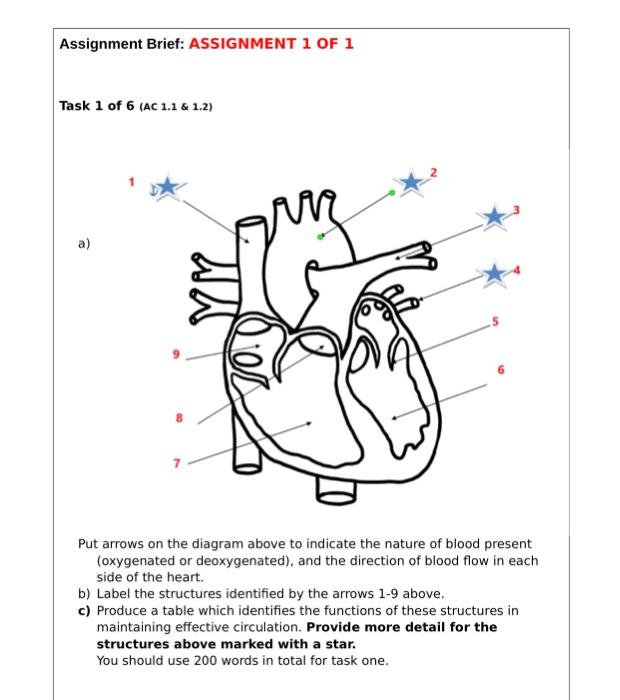Solved Assignment Brief: ASSIGNMENT 1 OF 1 Task 1 of 6 (AC | Chegg.com