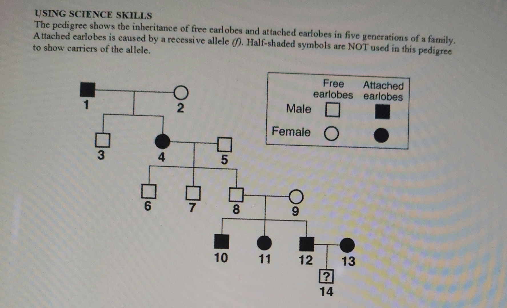 Solved USING SCIENCE SKILLSThe pedigree shows the | Chegg.com