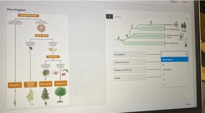 Solved Plant Review Questions Two attempts 1 2 points Match | Chegg.com