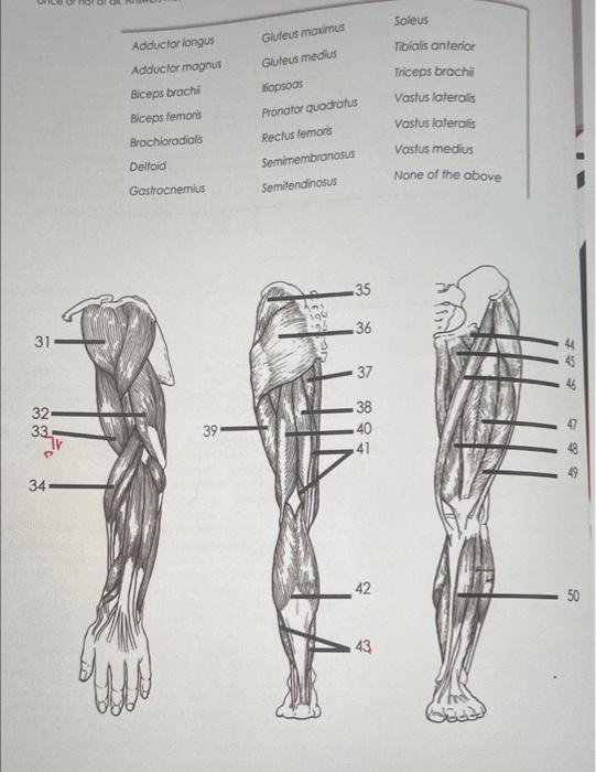 Solved label the following please | Chegg.com