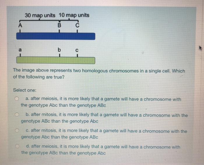 Solved 30 map units 10 map units A Bc b c The image above | Chegg.com