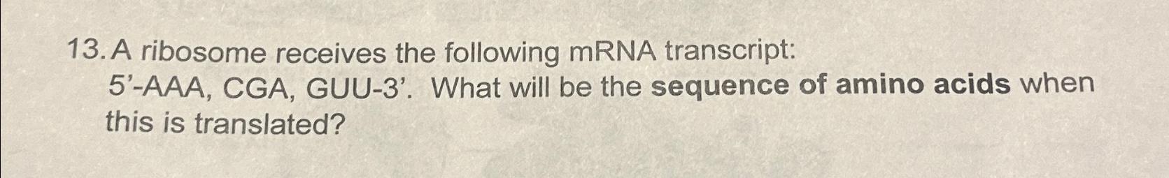 Solved A ribosome receives the following mRNA transcript: | Chegg.com