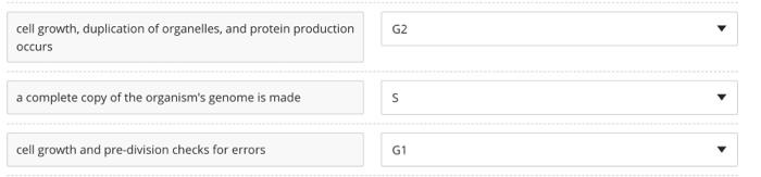 Solved cell growth, duplication of organelles, and protein | Chegg.com