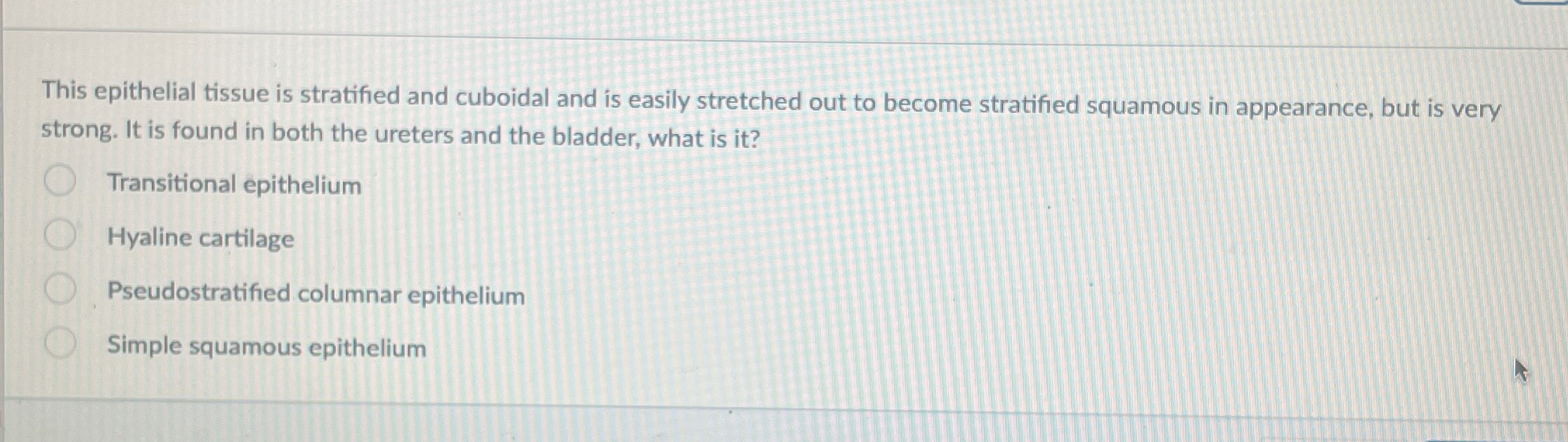 Solved This epithelial tissue is stratified and cuboidal and | Chegg.com