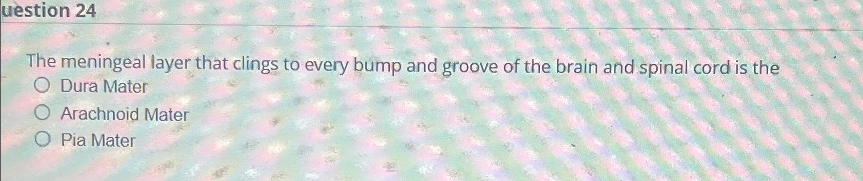 Solved The meningeal layer that clings to every bump and | Chegg.com