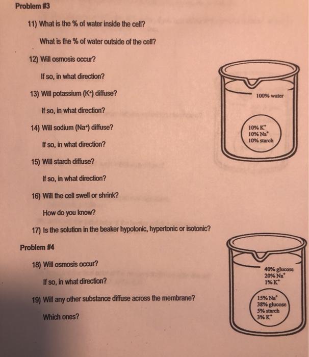 Solved Problem #3 11) What is the % of water inside the | Chegg.com