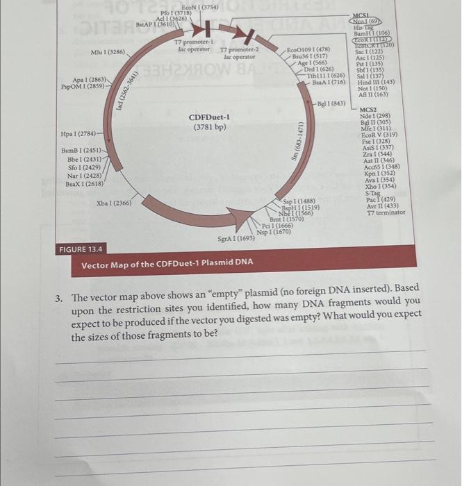 Solved 3. The vector map above shows an "empty" plasmid (no | Chegg.com