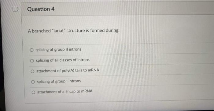 Solved A branched "lariat" structure is formed during: | Chegg.com